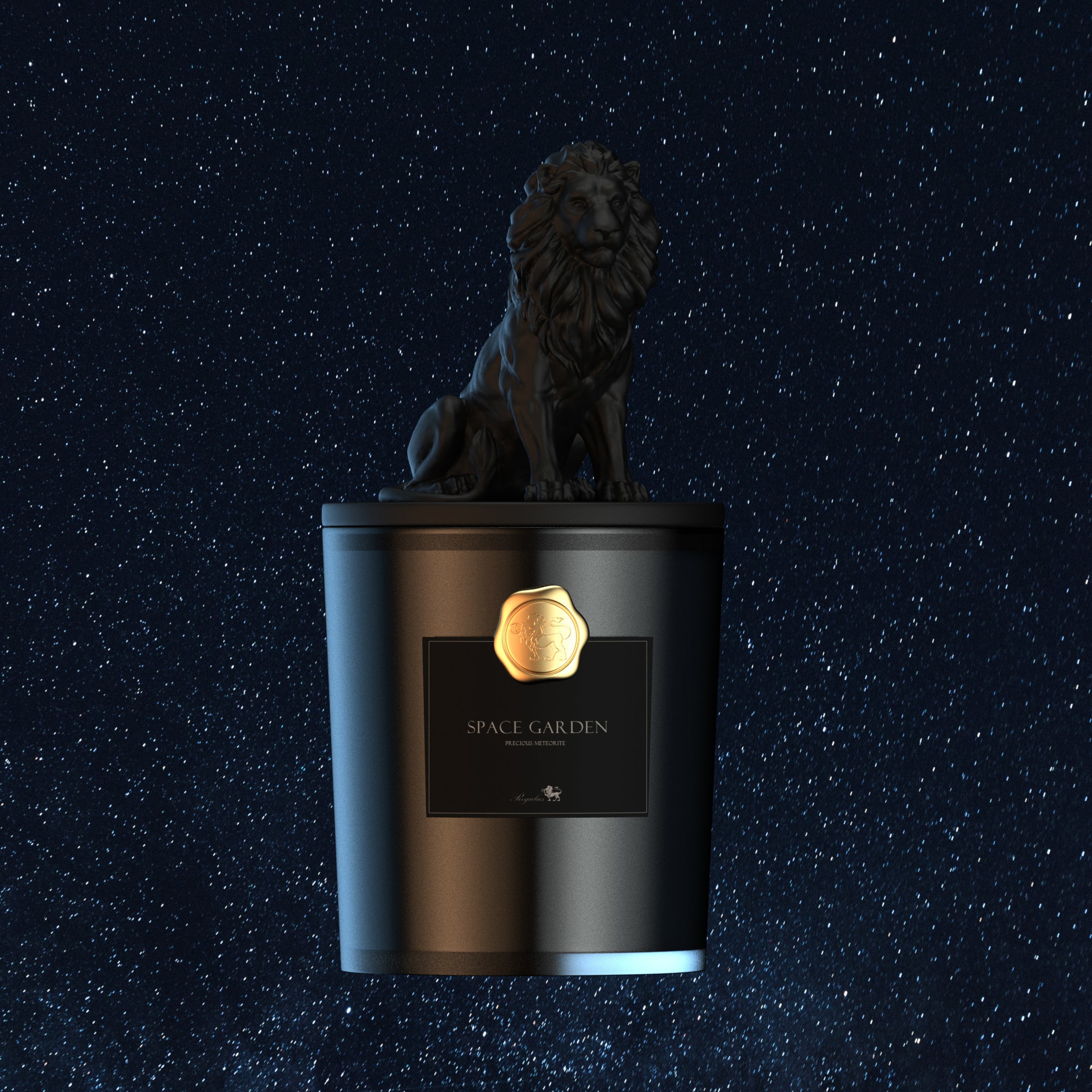 AAAAAAAA – Regulus Meteorite Jewelry