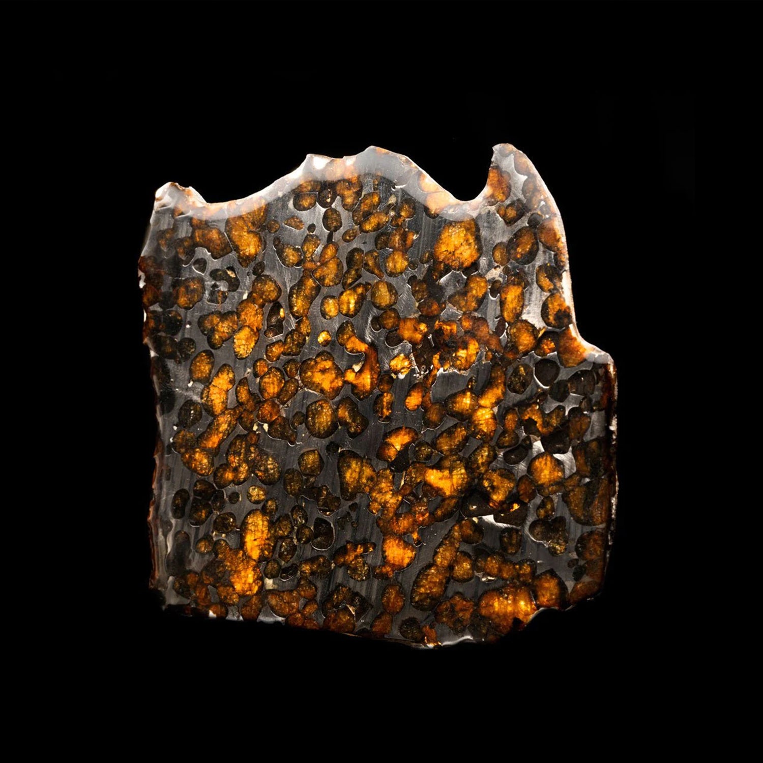 SLICES & SPECIMEN – Regulus Meteorite Jewelry